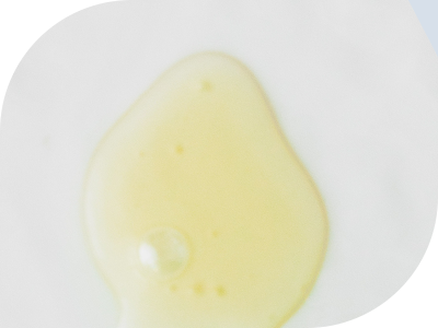 Prunus Armeniaca Kernel Oil | Gids voor ingrediënten in cosmetica